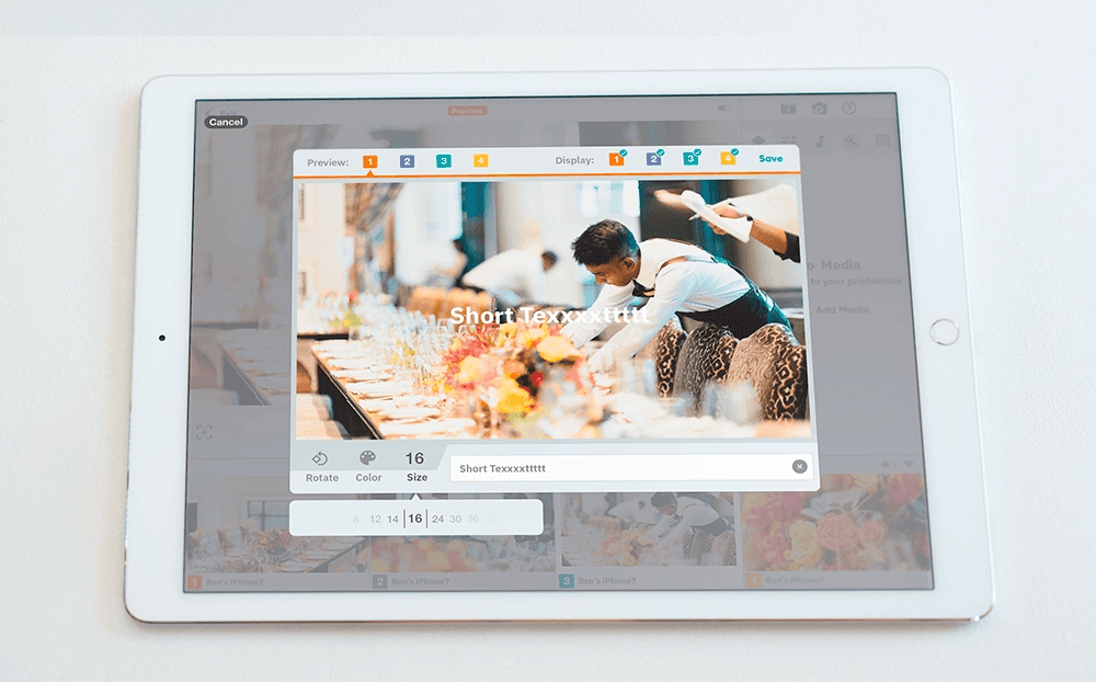 Professional Suite Of Multimedia Apps